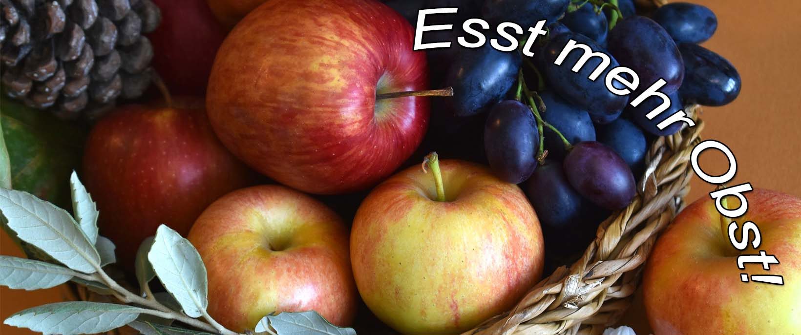 Die Obstzeit – Obst für euch
